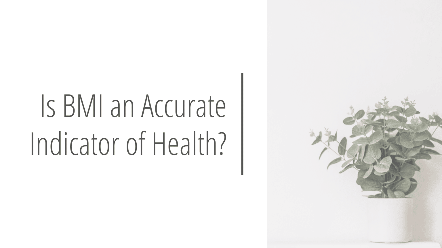 Is BMI an Accurate Indicator of Health?, written by a dietitian