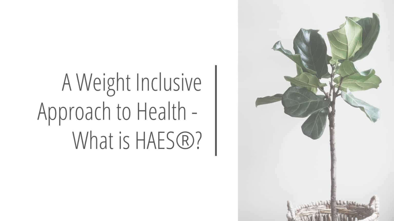 A Weight Inclusive Approach to Health - What is HAES?