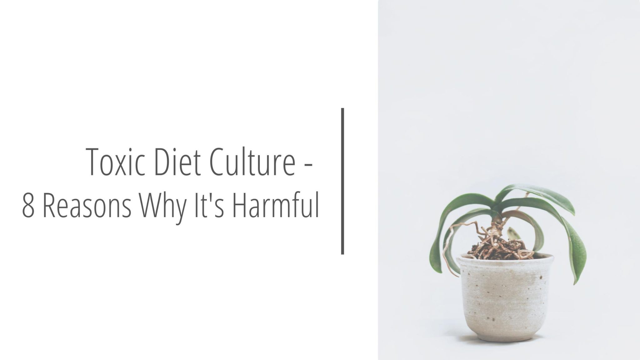 Toxic Diet Culture - 8 Reasons It's Harmful | Thoughtful Nutrition