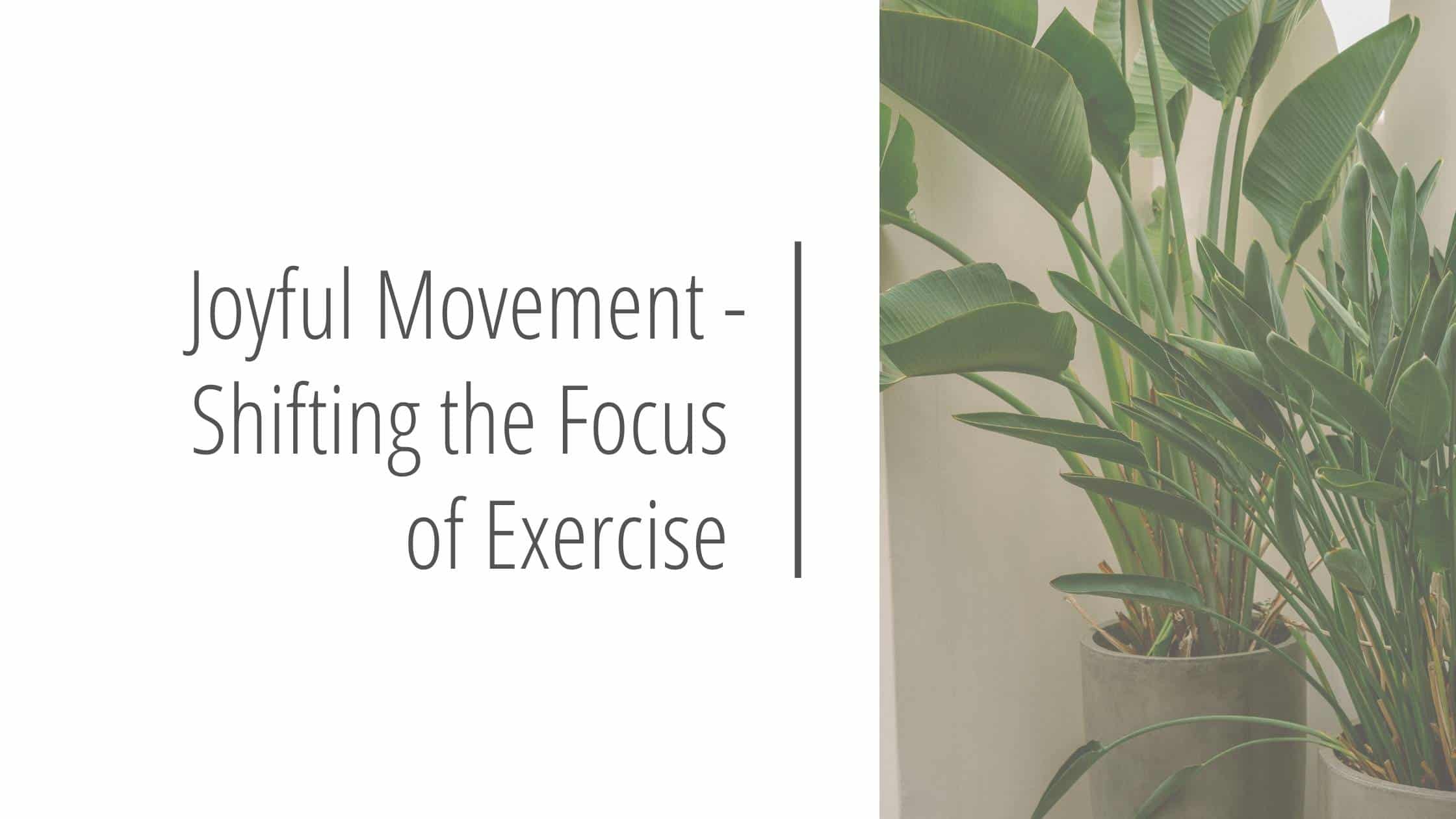Joyful Movement - Shifting the Focus of Exercise