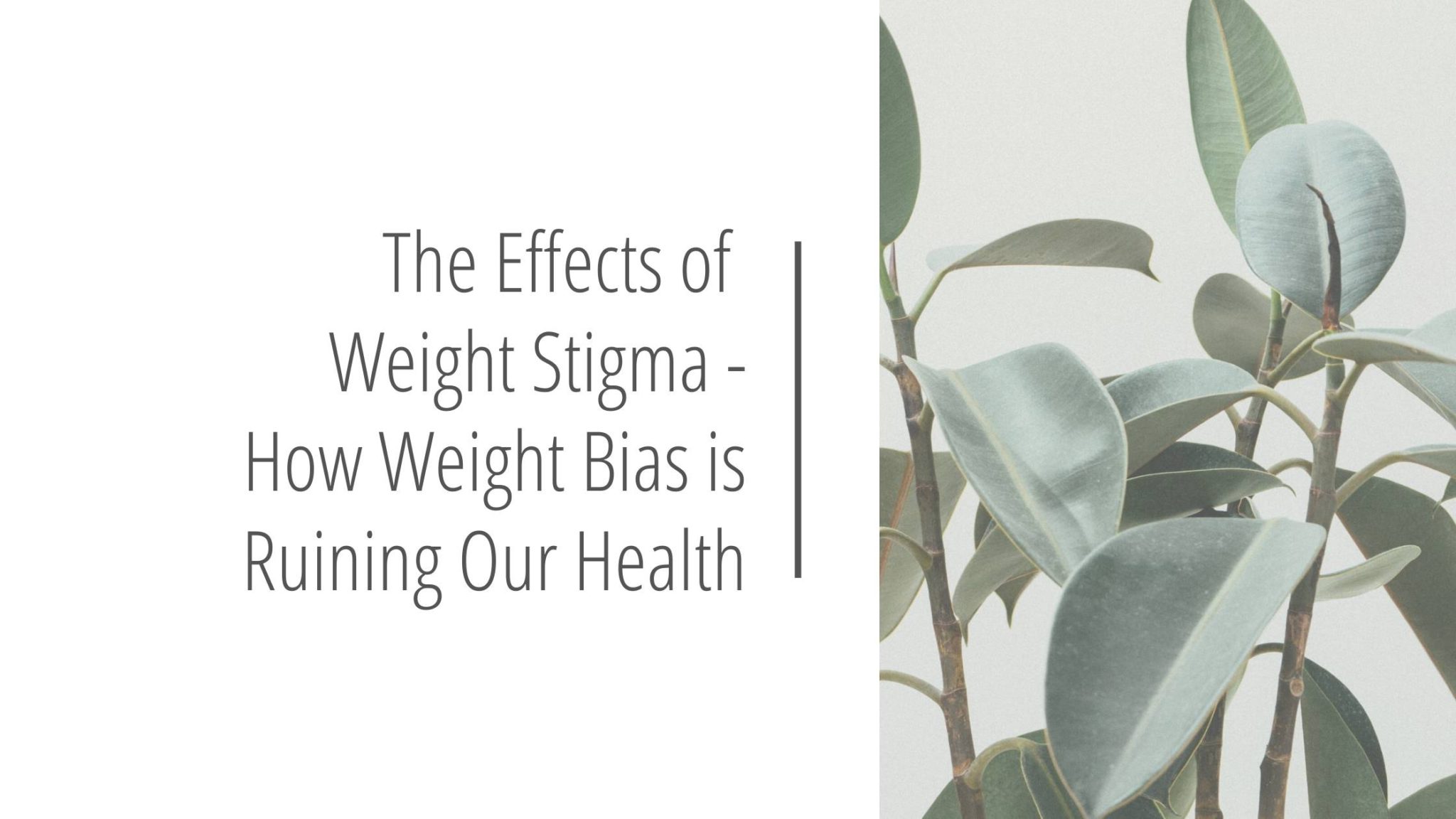 Effects of Weight Stigma - How Weight Bias is Ruining Our Health