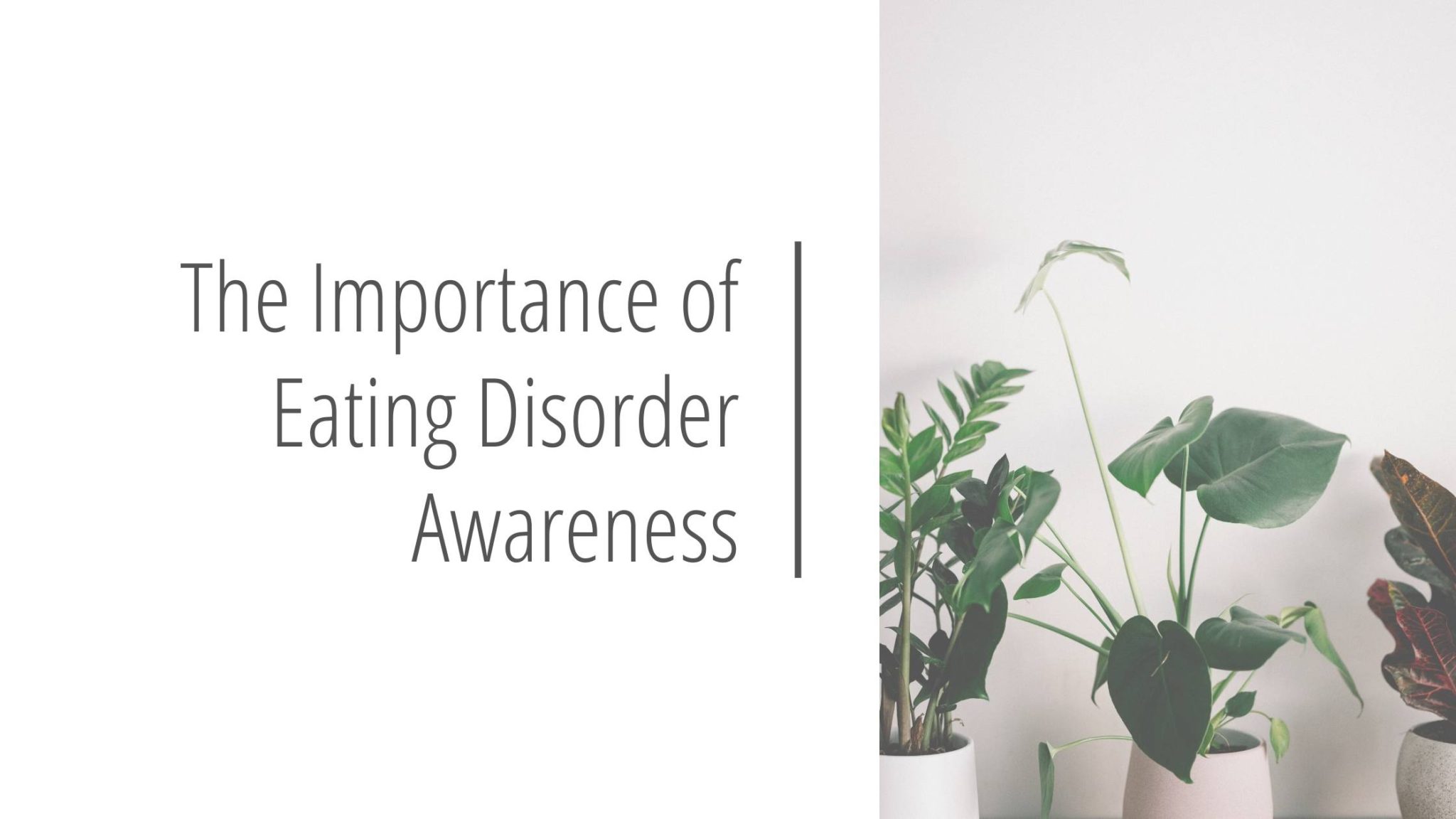 The Importance of Eating Disorder Awareness