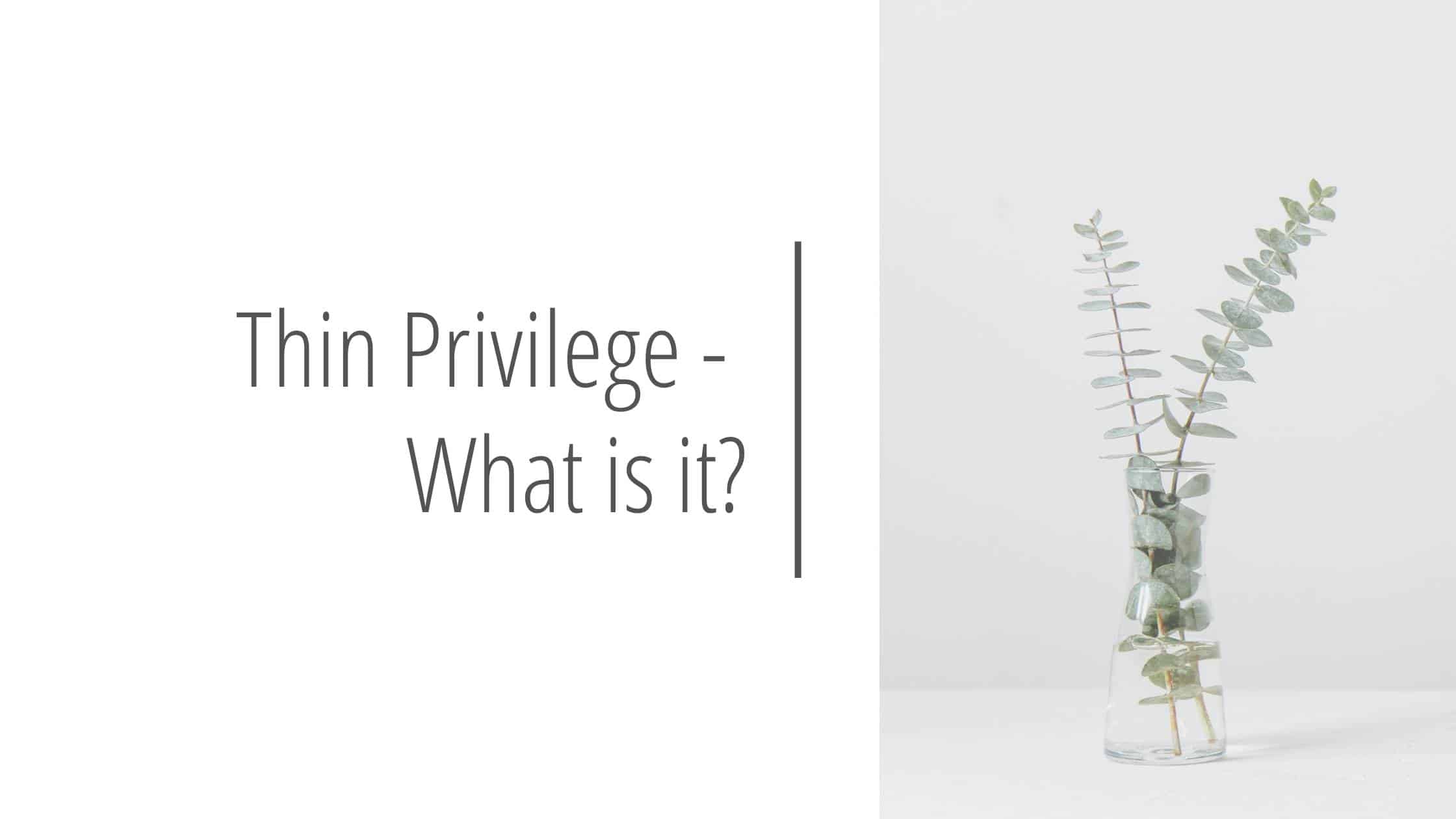 Thin Privilege - What is it?