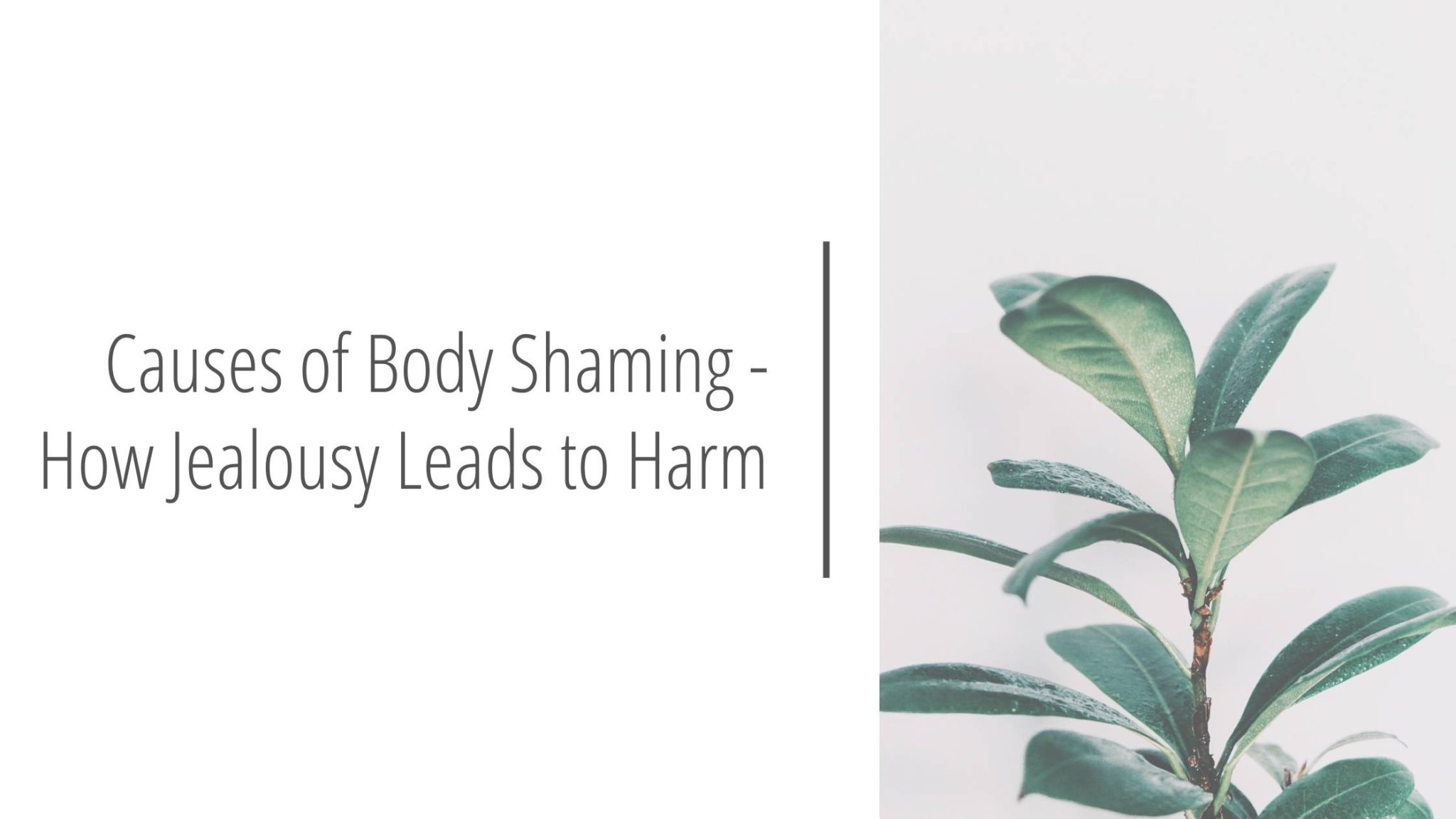 Causes of Body Shaming - How Jealousy Leads to Harm
