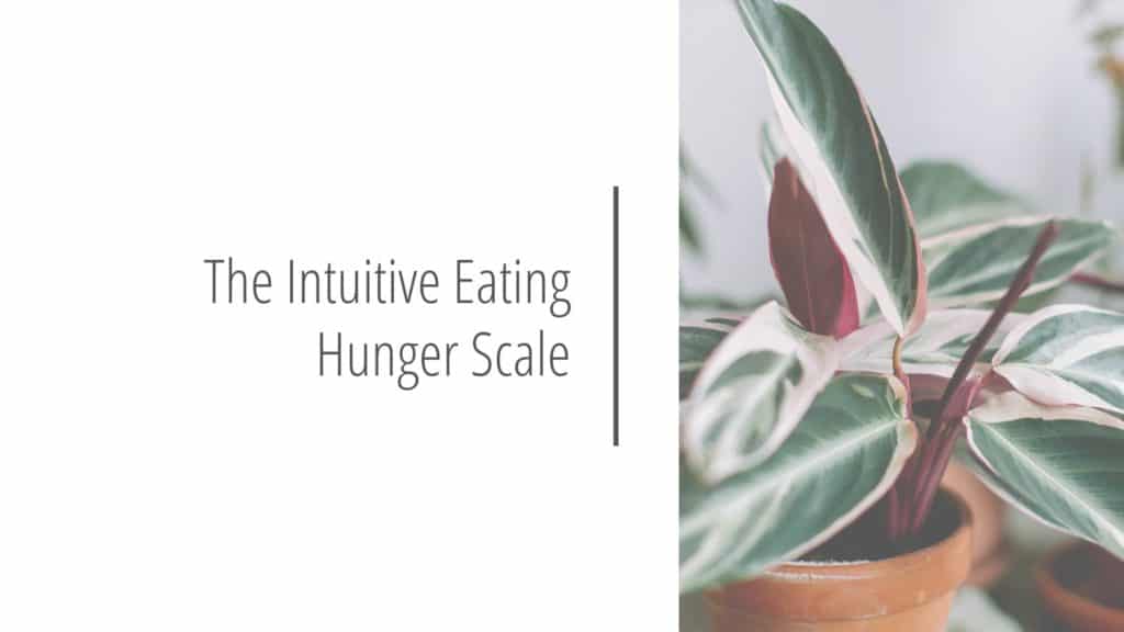 The Intuitive Eating Hunger Scale