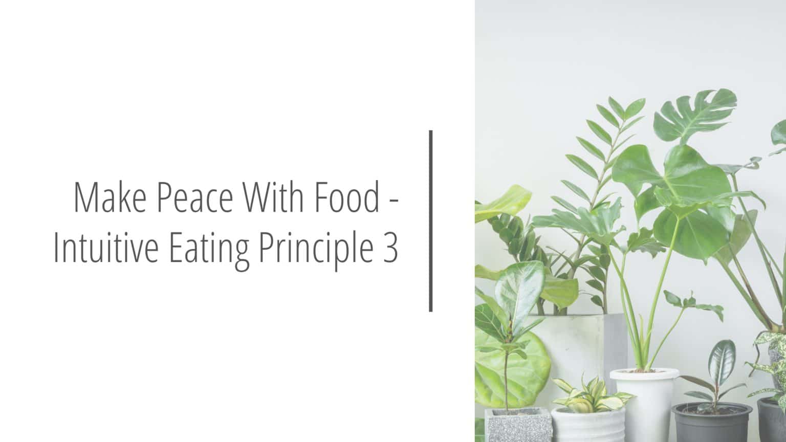 Make Peace With Food - Intuitive Eating Principle 3