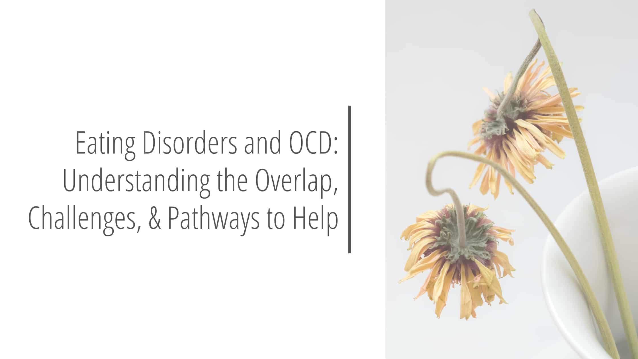 Eating Disorders and OCD: Understanding the Overlap